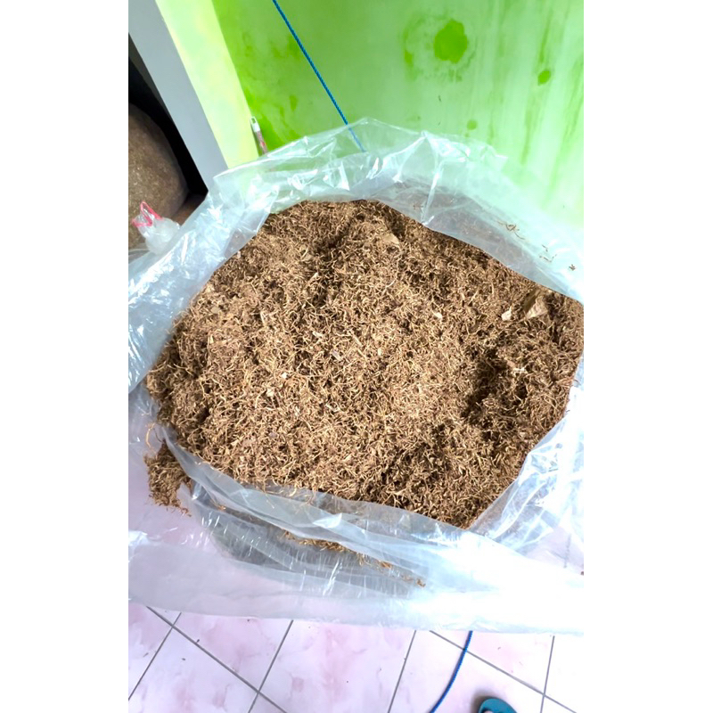 Jual Rajangan daun talas kering | Shopee Indonesia