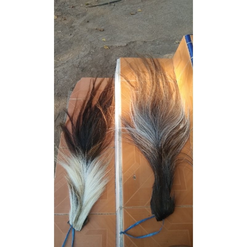 Jual Ekor kuda | Shopee Indonesia