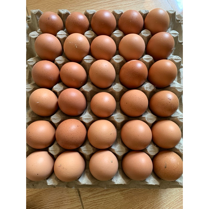 Jual Telur Ayam Negri 1 terai isi 30 butir | Shopee Indonesia