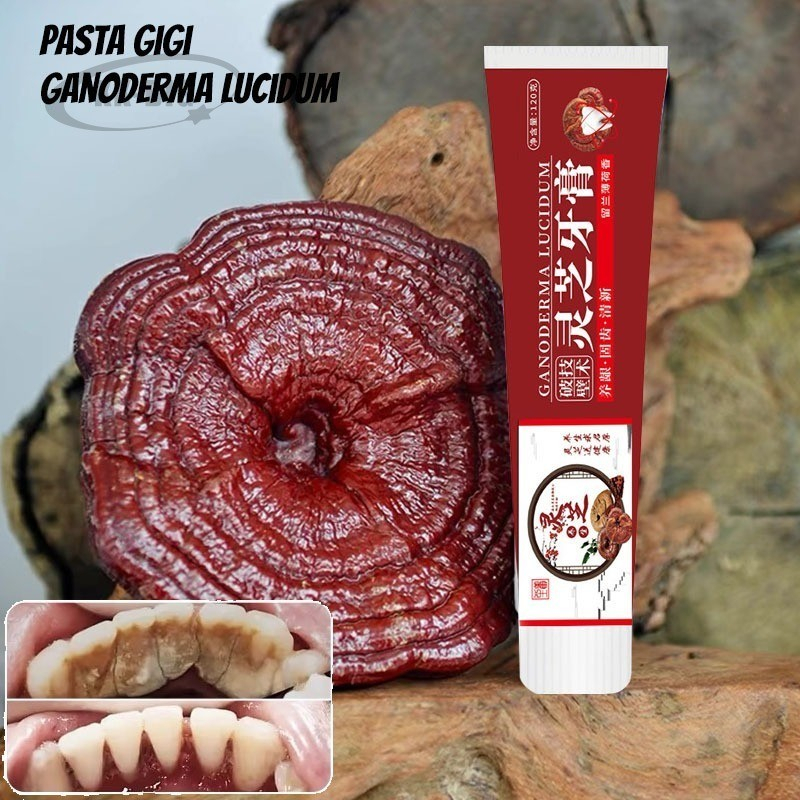 Jual Ganoderma Lucidum Pasta Gigi Perlindungan Gusi Multi Efek Pemutih ...