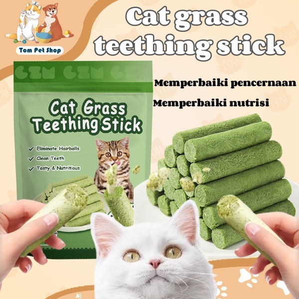 Jual Cat Grass Stick - Snack Rumput Kucing - Cat Grass Premium Grass ...