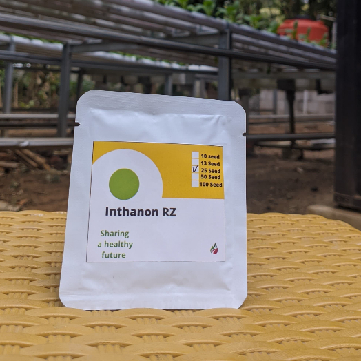Jual Benih melon inthanon Rz kemasan isi 25 seed /biji asli F1 ( Repack ...