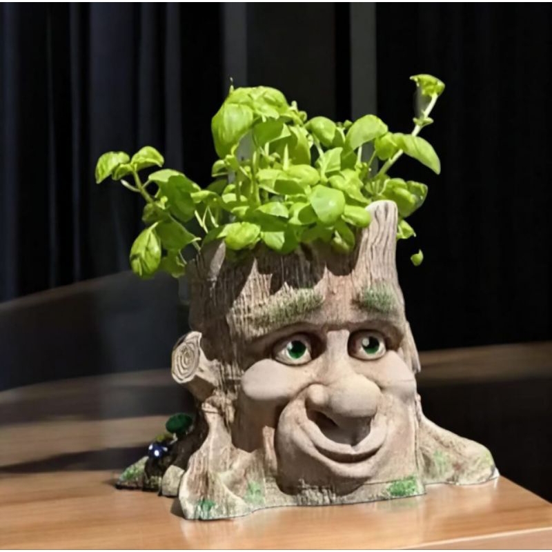 Jual POT KARAKTER POHON | POT MINI KAKTUS | DEKORASI RUMAH | PROPERTI ...