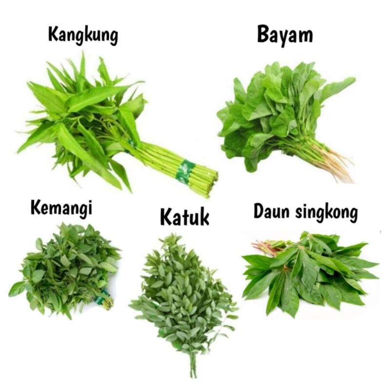 Jual ANEKA KANGKUNG BAYAM DLL HARGA PERIKAT/KANGKUNG SEGAR/BAYAM SEGAR ...