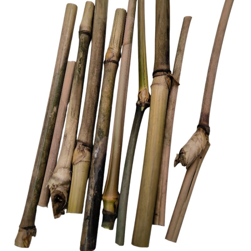 Jual Potongan Ranting Bambu Panjang Bahan Prakarya Kerajinan Tangan ...