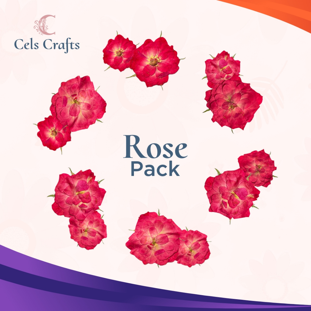 Jual [Pack] Rose / Mawar / Rosa - Hi Quality Pressed Flower For ...