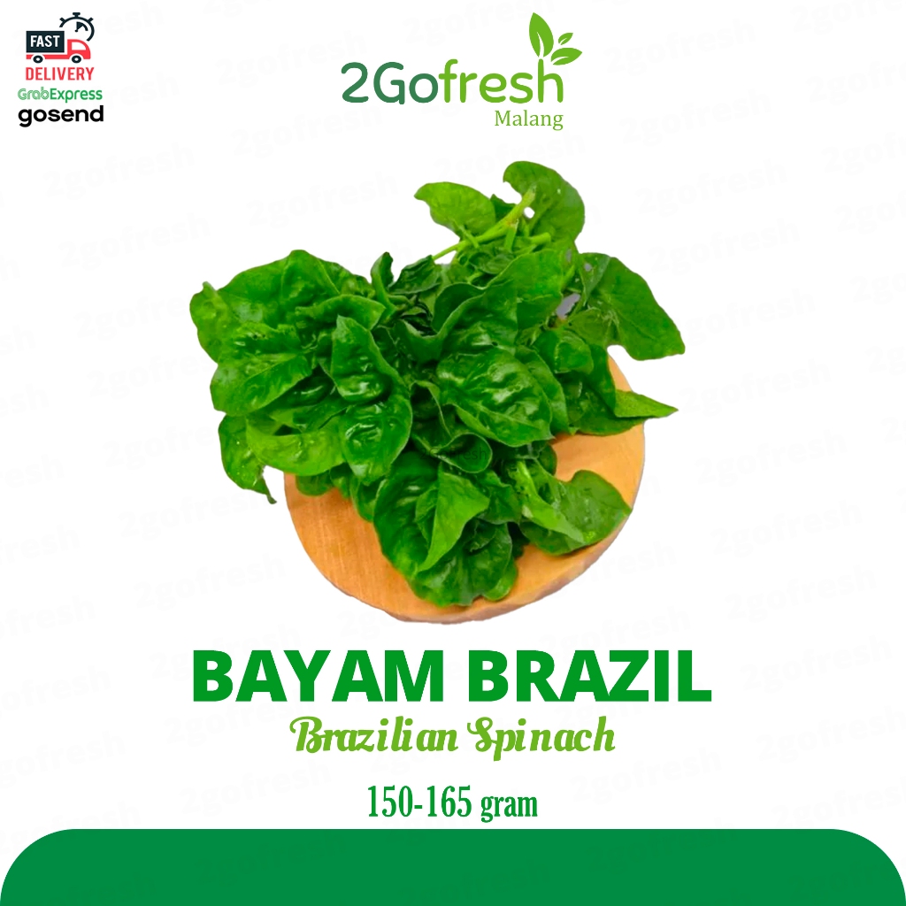 Jual Bayam Brazil / Brazilian Spinach Fresh - Sayuran | Shopee Indonesia