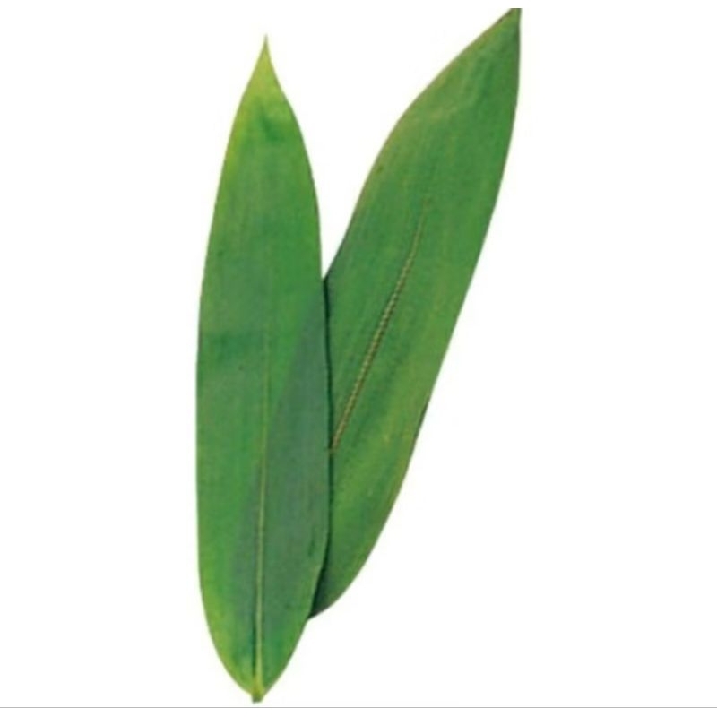Jual Daun bambu segar 100 lembar | daun bambu bacang 100 lembar ...