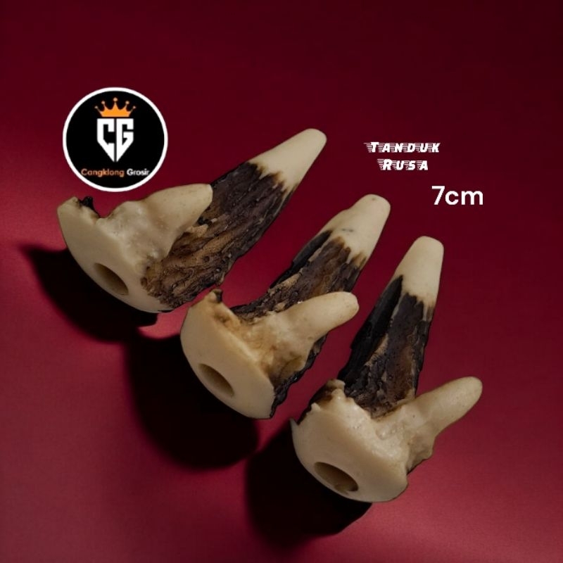 Jual Pipa Pipo Once Tanduk Rusa Unik 7cm | Shopee Indonesia