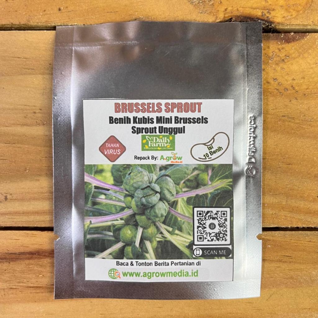 Jual Benih Sayur Kubis Mini BRUSSELS SPROUT Isi 10 Butir Bibit Biji ...
