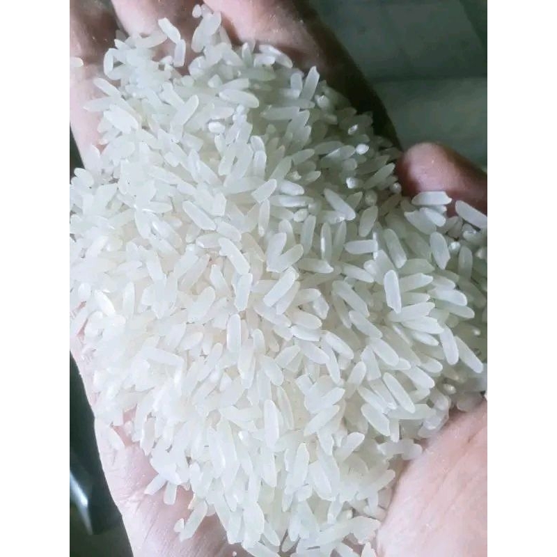 Jual Beras selip asli fress baru giling | Shopee Indonesia
