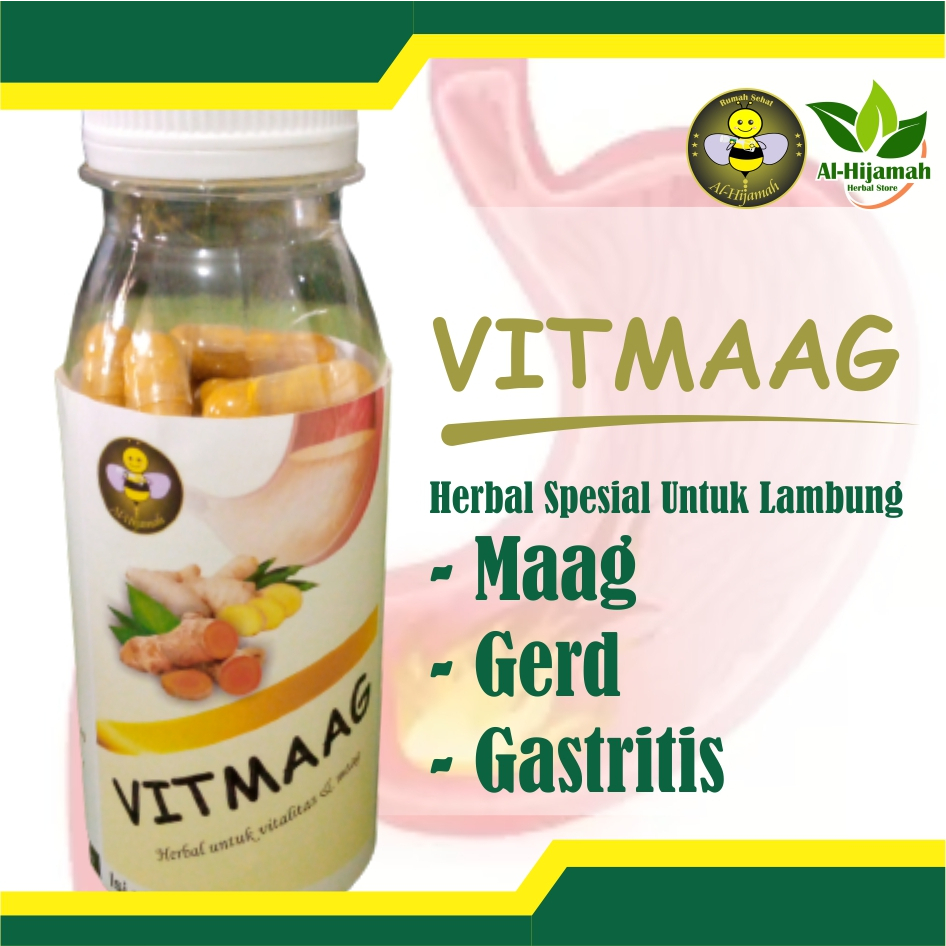 Jual obat lambung herbal maag obat gastritis obat gerd kapsul herbal ...