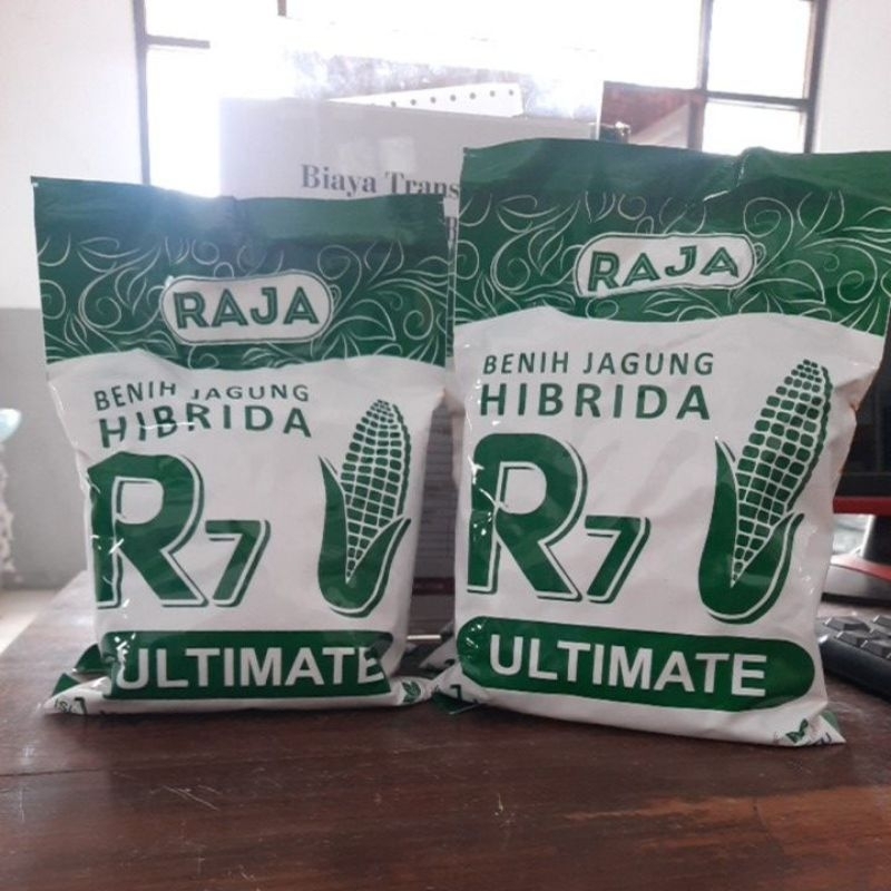 Jual Benih Jagung R7 Raja Ultimate | Shopee Indonesia