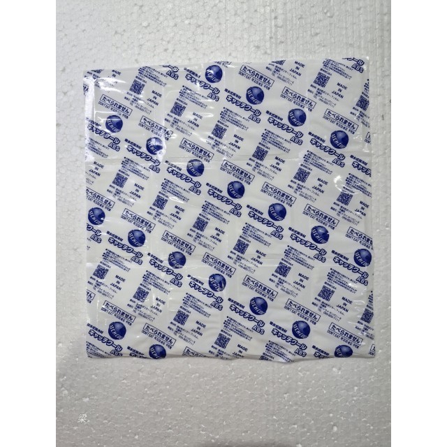 Jual Ice Pack Ice Gel Cool Pack Thermafreeze LEMBARAN BESAR isi 12pcs ...