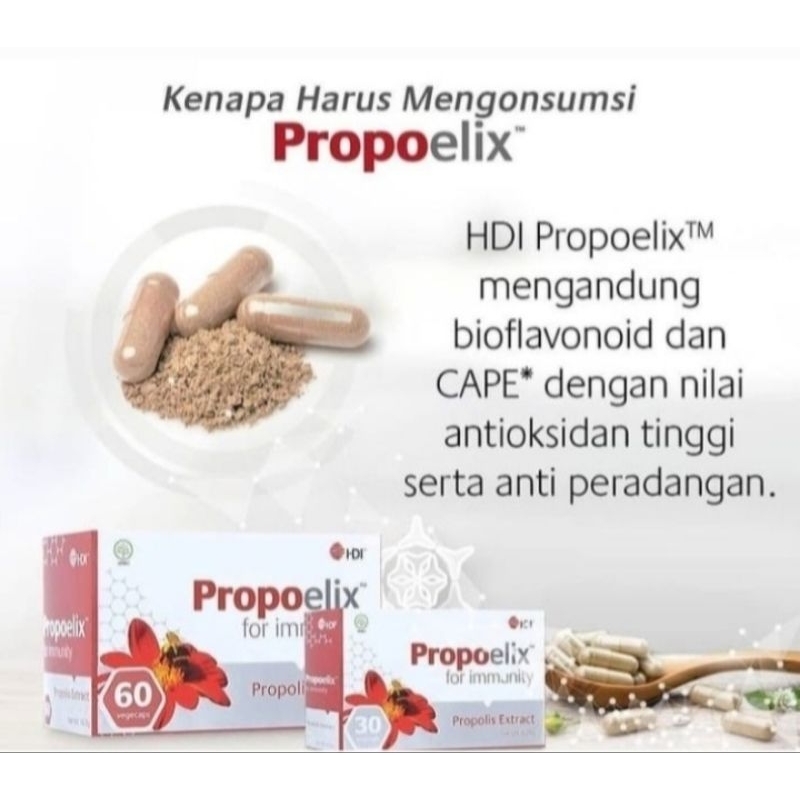 Jual propoelix for immunity 60 kapsul original april 2025 | Shopee ...