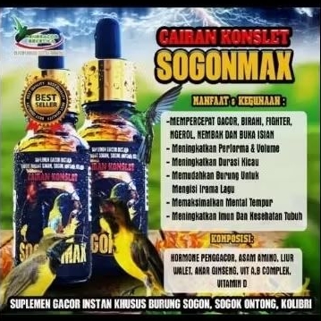 Jual sogonmax doping burung sogon pleci Kolibri konin | Shopee Indonesia