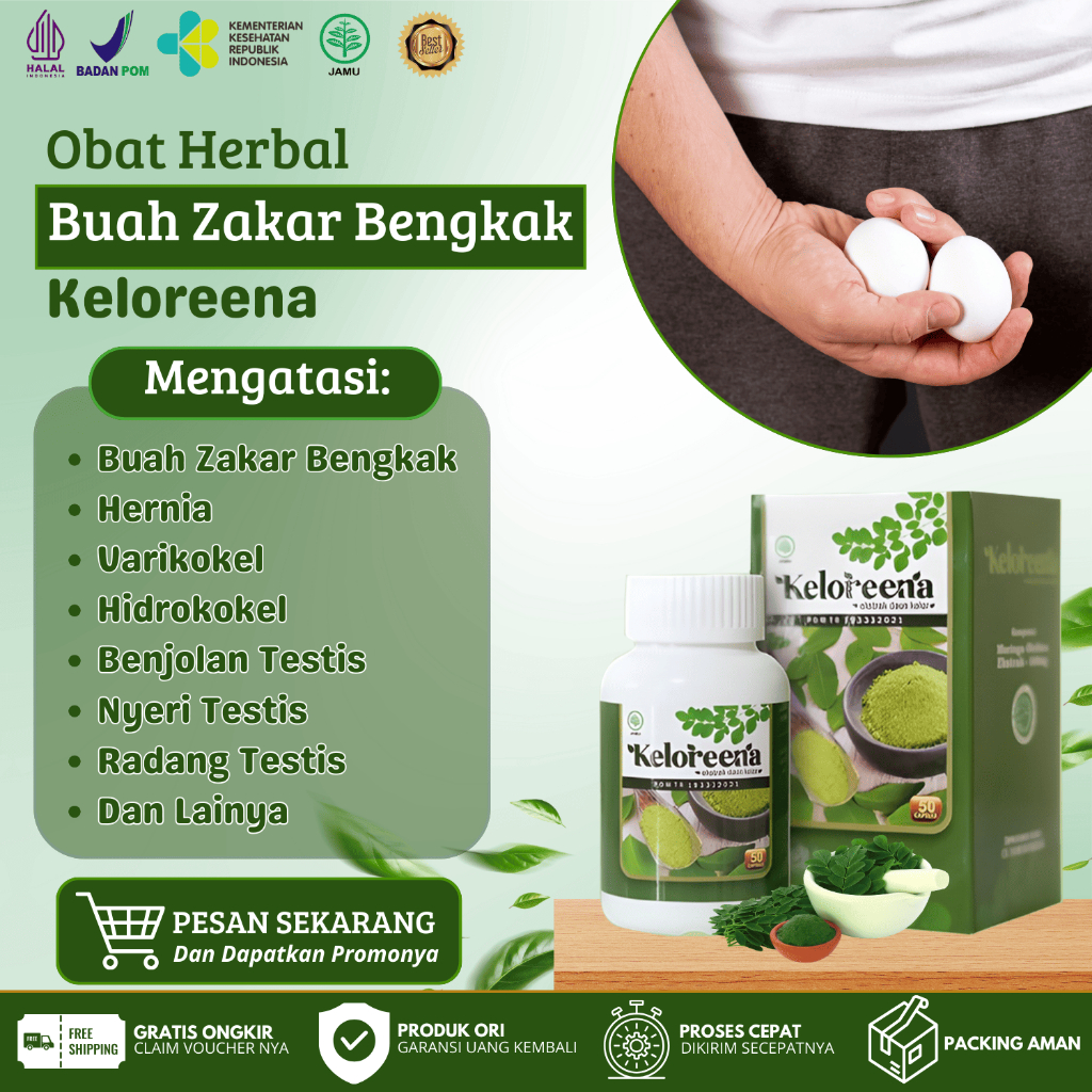 Jual Obat Buah Zakar Bengkak Varikokel Turun Berok Infeksi Saluran ...