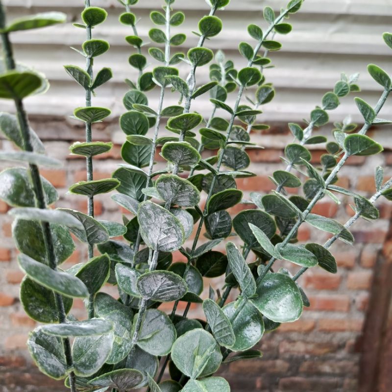 Jual bunga daun dolar artificial bahan buket hiasan buket daun ...