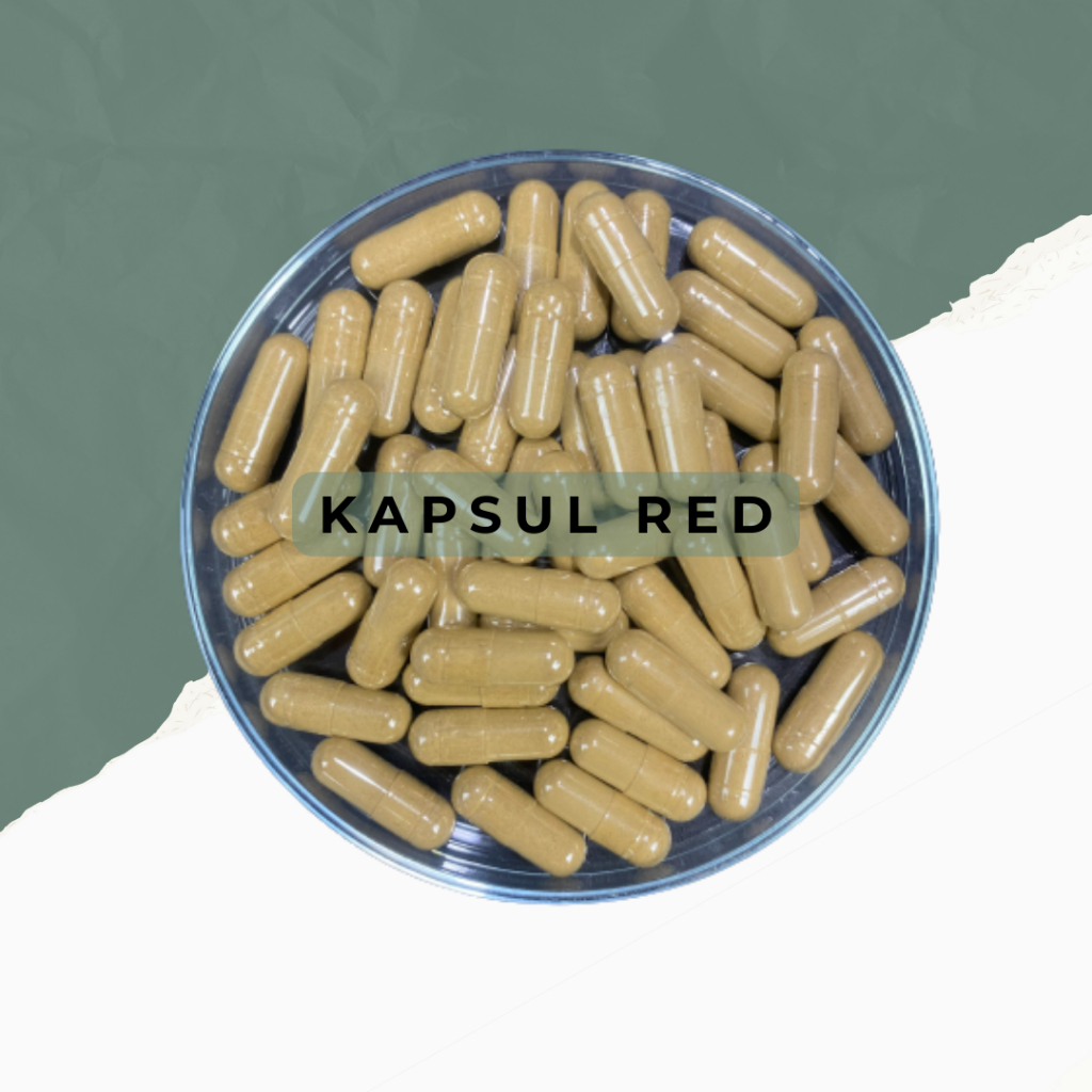Jual Herbal jenis kapsul daun merah jamu Bpom herbal khas kalimantan ...