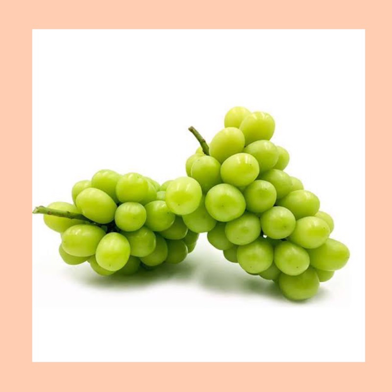 Jual Buah anggur muscat hijau / anggur shine muscat | Shopee Indonesia
