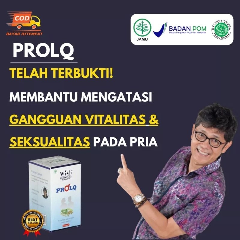 Jual Kapsul Wish Pro Lq Asli Suplemen Vitamin Herbal Stamina Pria ...