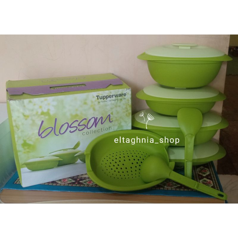 Jual TUPPERWARE BLOSSOM COLLECTION - GREEN (SET) | Shopee Indonesia