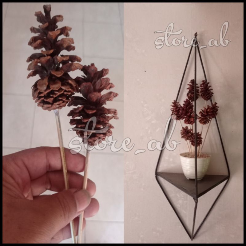 Jual pertangkai bunga pinus kering alami (panjang tangkai 40cm ...