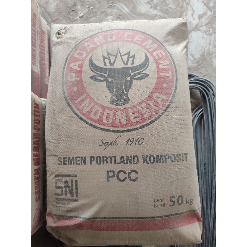 Jual Semen Padang 50 kg | Shopee Indonesia