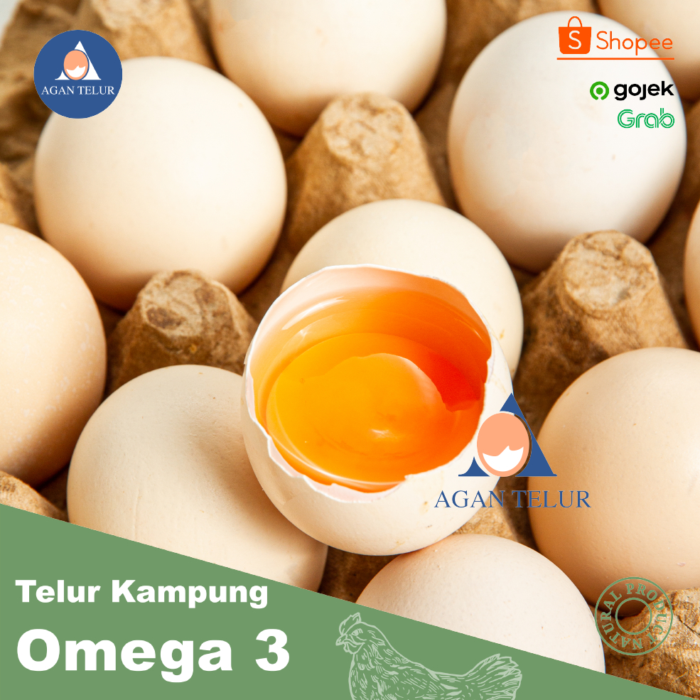 Jual Telur Ayam Kampung Omega 3 Fresh ,Sehat & Bergizi Tinggi omega 3 ...