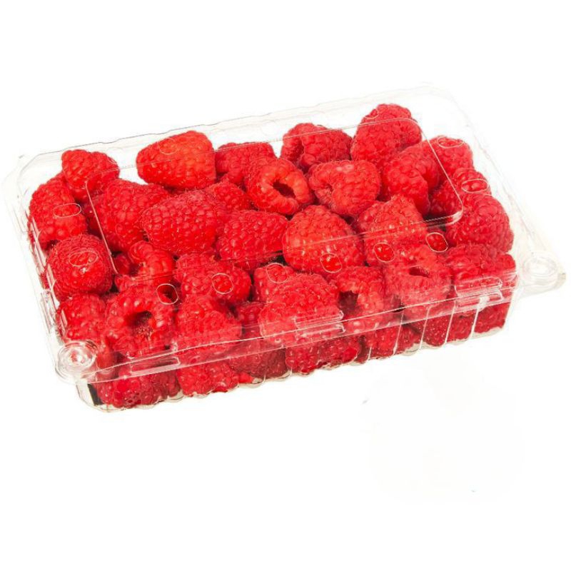 Jual Raspbery Fresh Pack | Shopee Indonesia