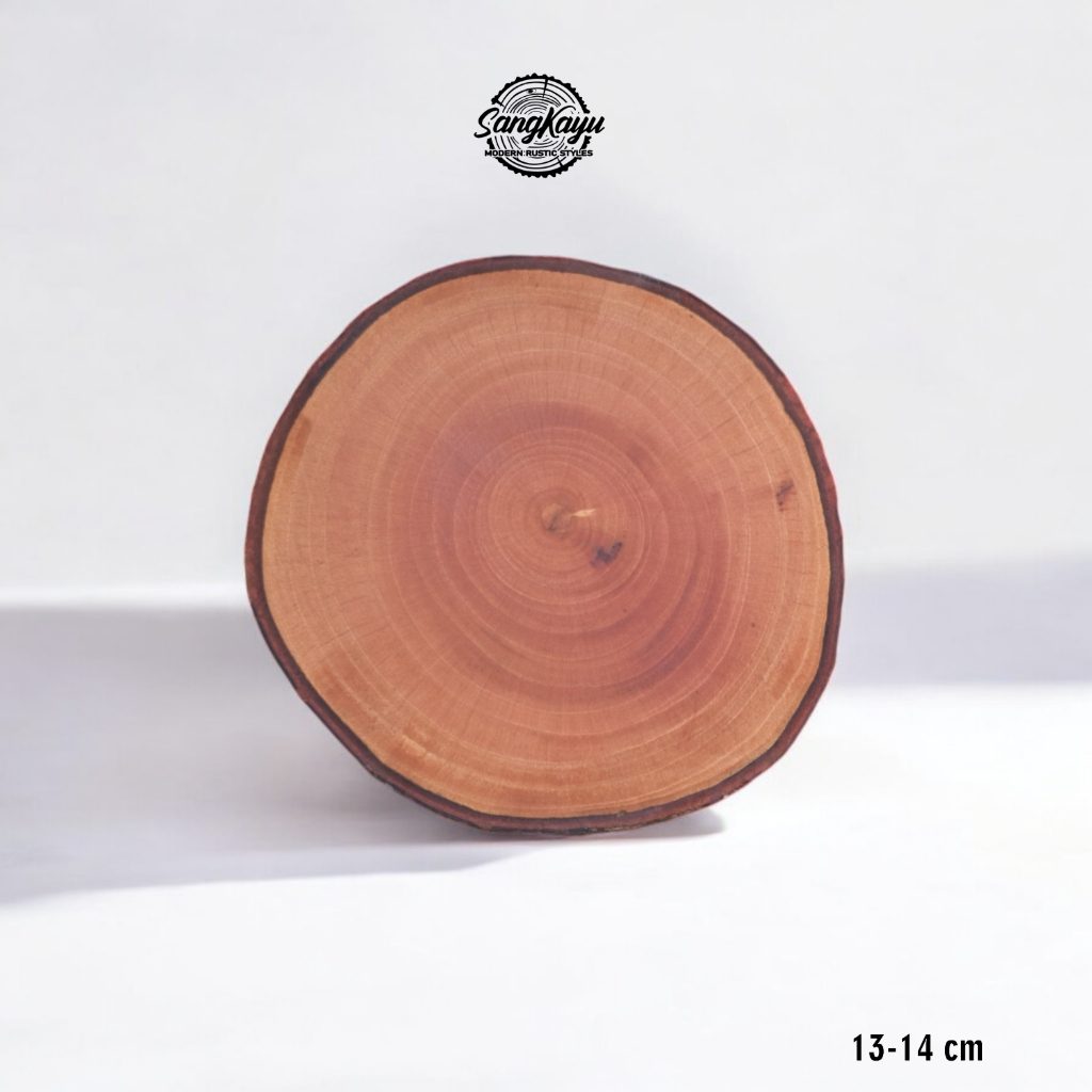 Jual SangKayu Wood Slice Diameter 13-14 cm Tatakan Kayu Hiasan Dinding ...