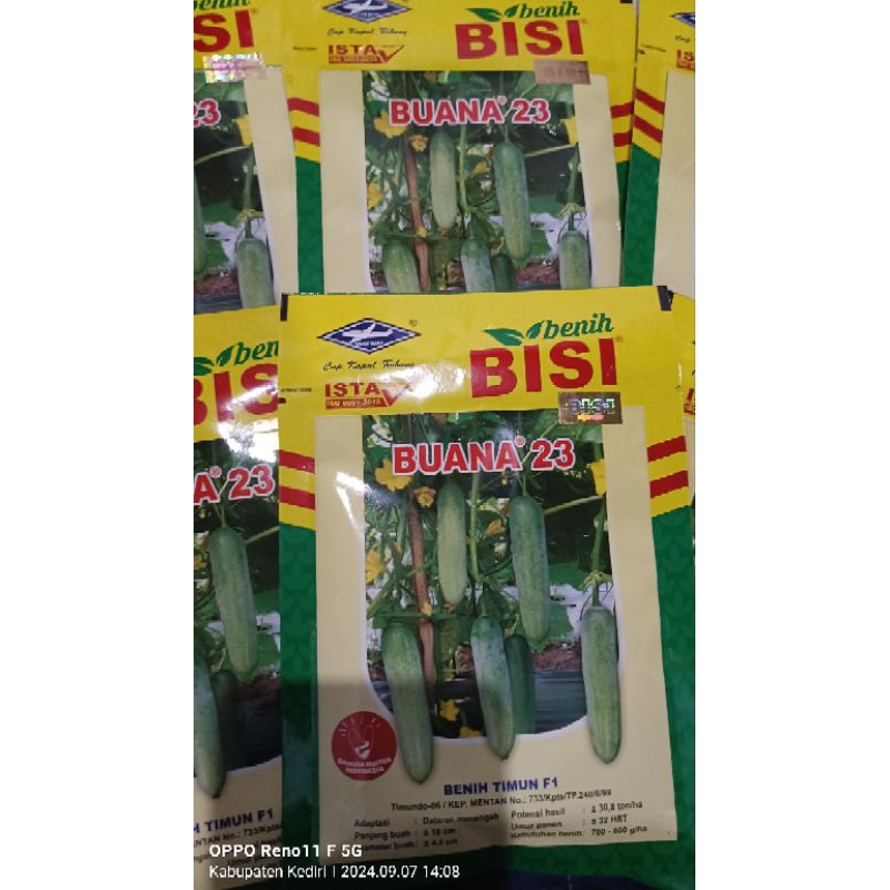 Jual Benih timun BUANA 23 isi 20gr.kemasan original pabrik expayert 14 ...