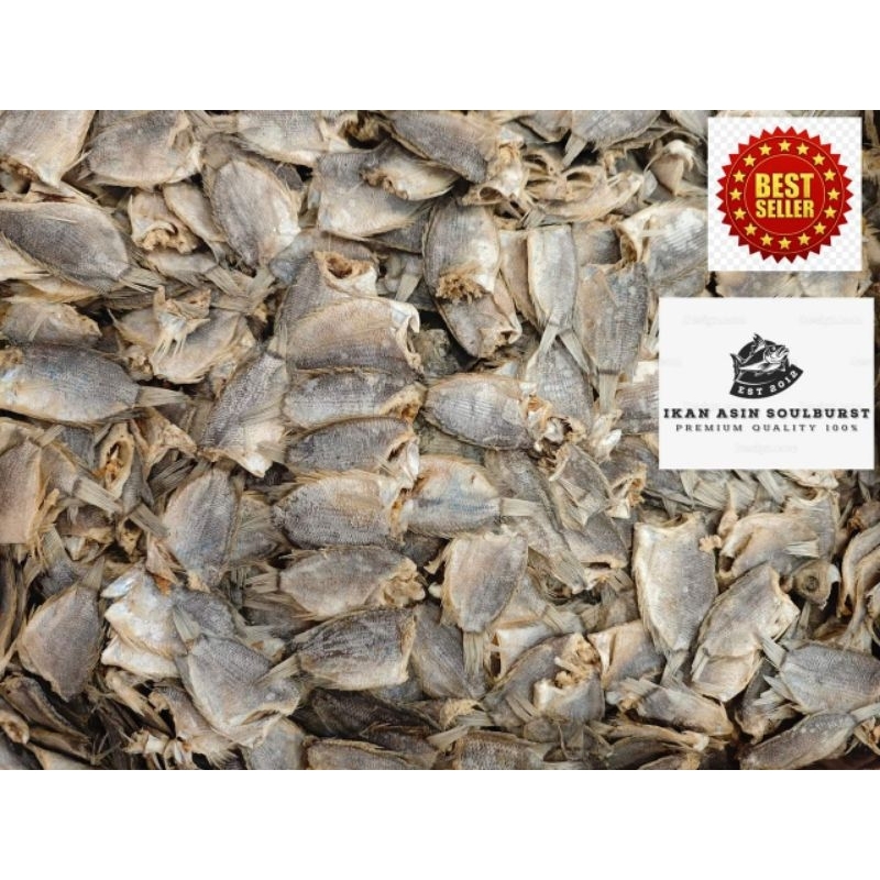Jual Ikan Asin Tembakang/Biawan size kecil Kalimantan 250 Gram | Shopee ...