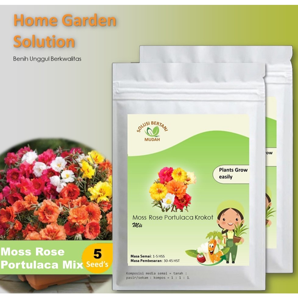 Jual 50 Biji - Bibit Benih Bunga Moss Rose Portulaca Krokot Giant ...