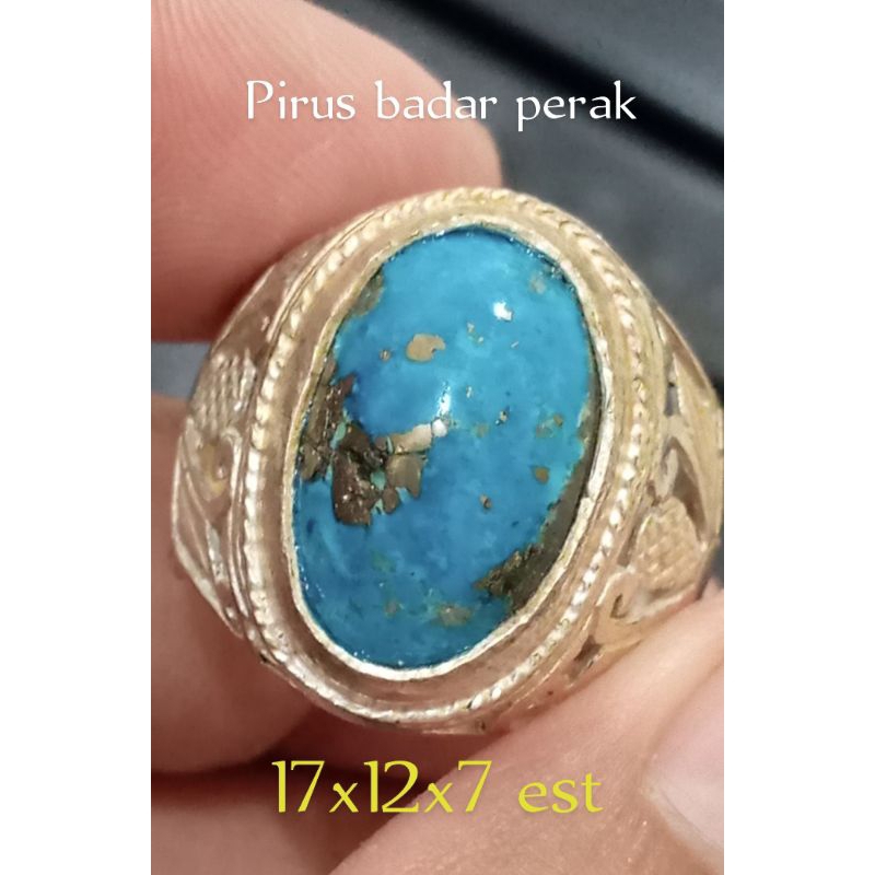 Jual Pirus Persia badar perak | Shopee Indonesia