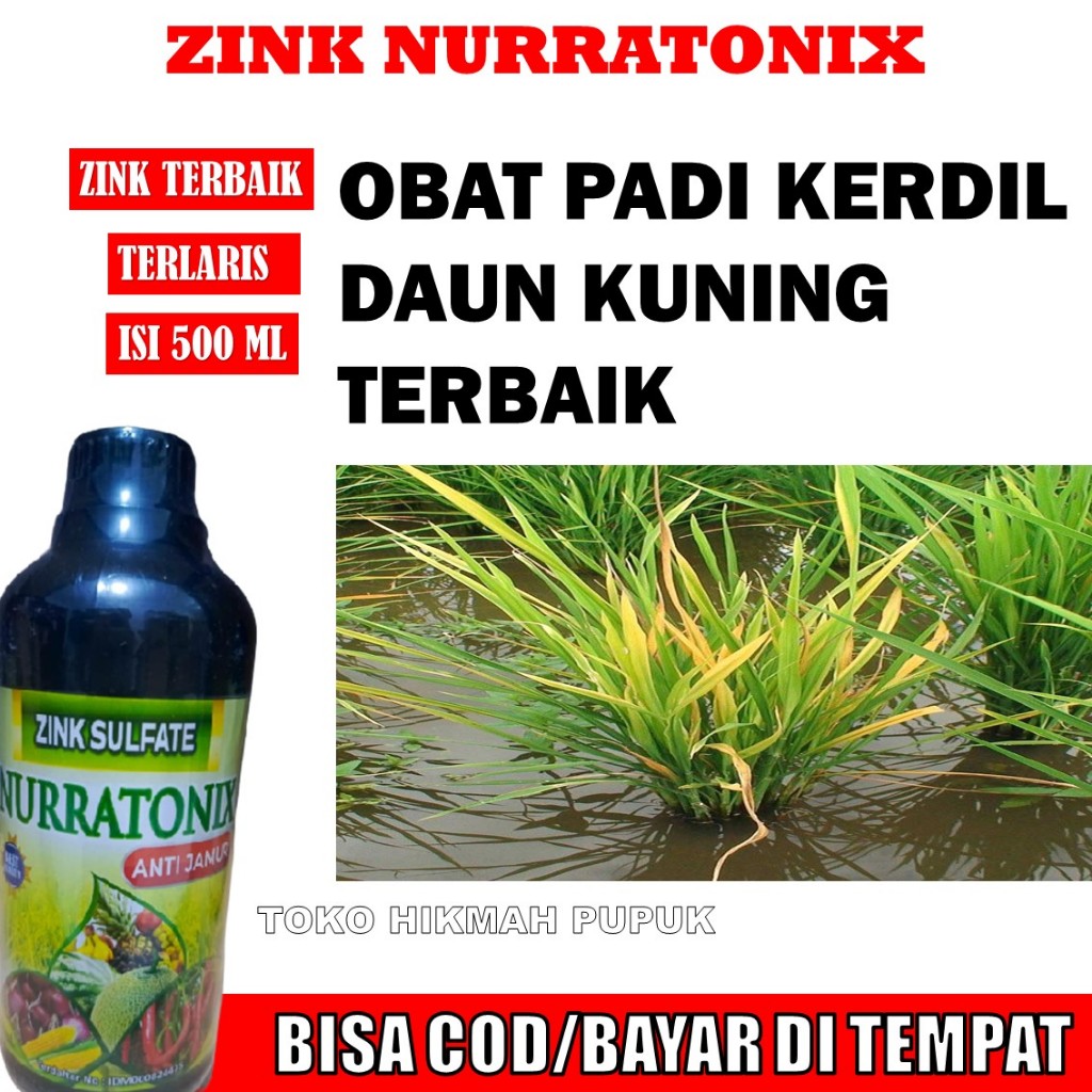 Jual ZINK OBAT PADI KERDIL DAUN KUNING TERBAIK Pupuk Padi Daun Kuning ...