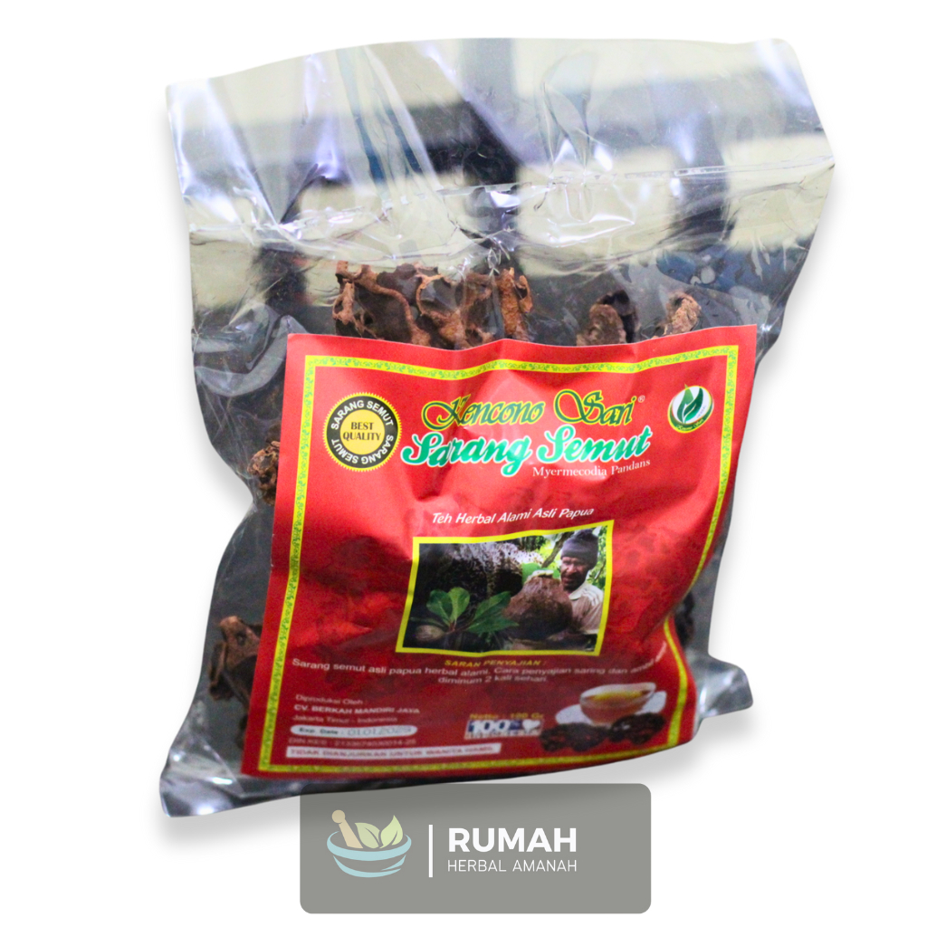 Jual Teh Sarang Semut Curah Herbal Asli Original Papua Dijamin Asli ...