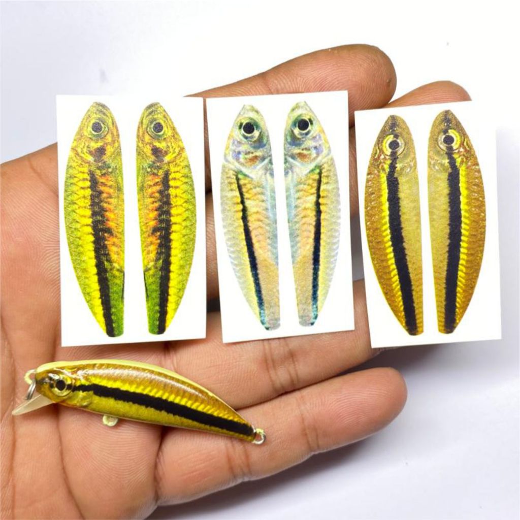 Jual Water slide decal untuk umpan minnow mini swim astuti ryuki ...