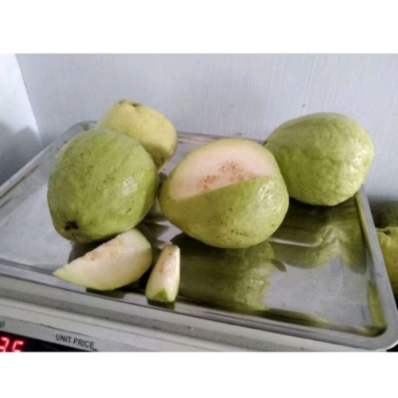 Jual JAMBU PUTIH BIJI LANGSUNG PETIK 100%ORIGINAL (500grm) | Shopee ...