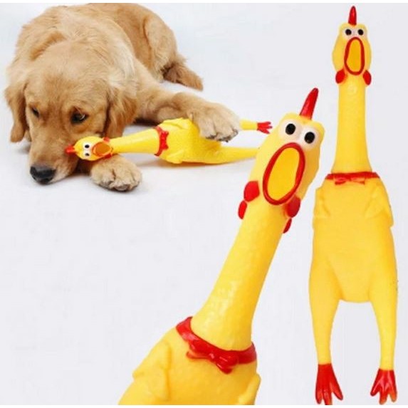 Jual MAINAN AYAM BUNYI - MAINAN AYAM TERIAK - MAINAN SCREAMING CHICKEN ...