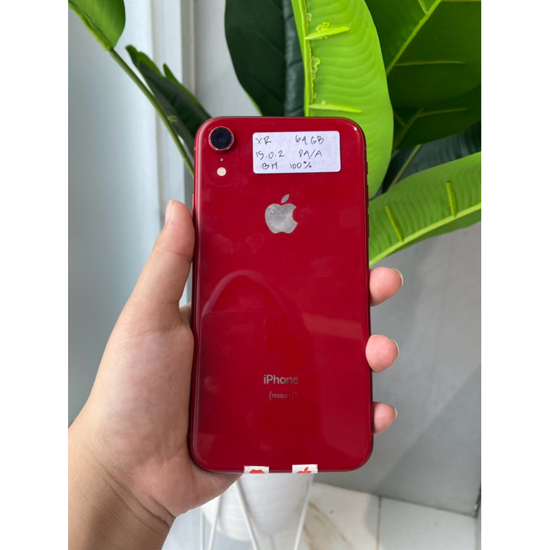 Jual iPhone XR 64gb ex iBox Garansi Resmi Indonesia | Shopee Indonesia