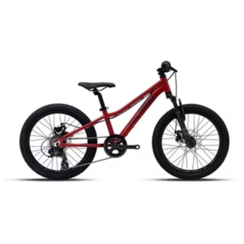 Jual Sepeda Gunung Anak Polygon MTB 20 inch Relic | Shopee Indonesia