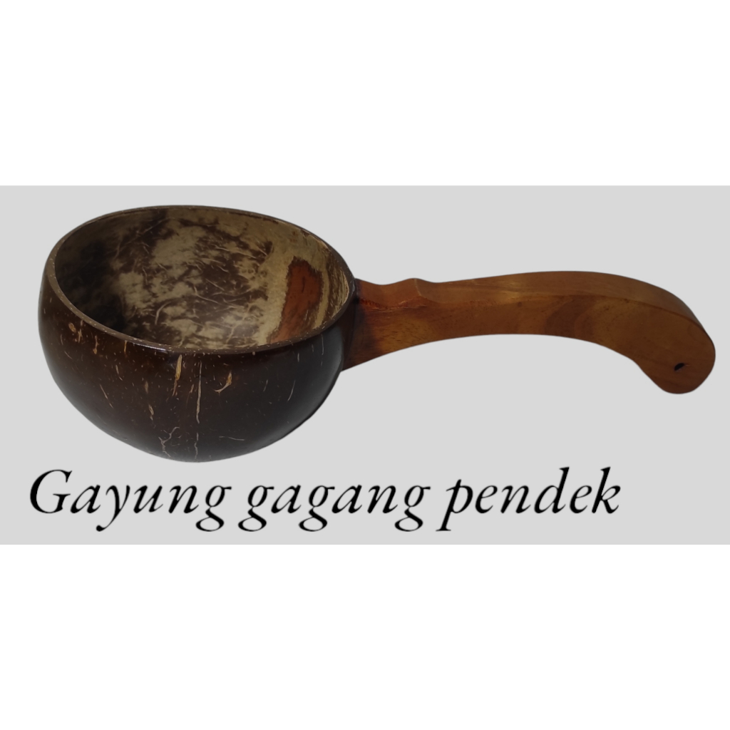 Jual Siwur Batok Kelapa/Gayung Batok Kelapa | Shopee Indonesia