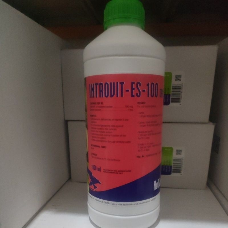 Jual Introvit ES 100 oral 1 Liter multivitamin lengkap | Shopee Indonesia