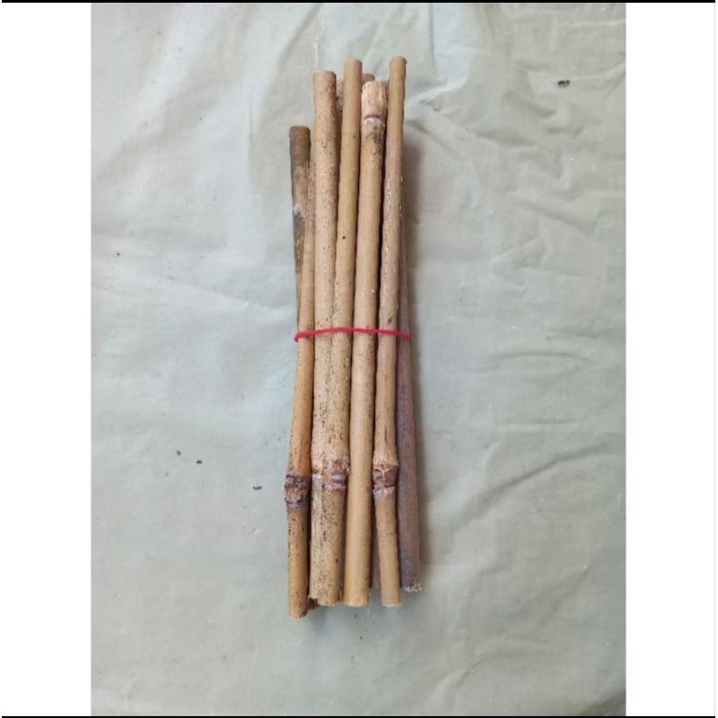 Jual Batang bambu kering asli isi 10 batang panjang 30 cm redy stok ...