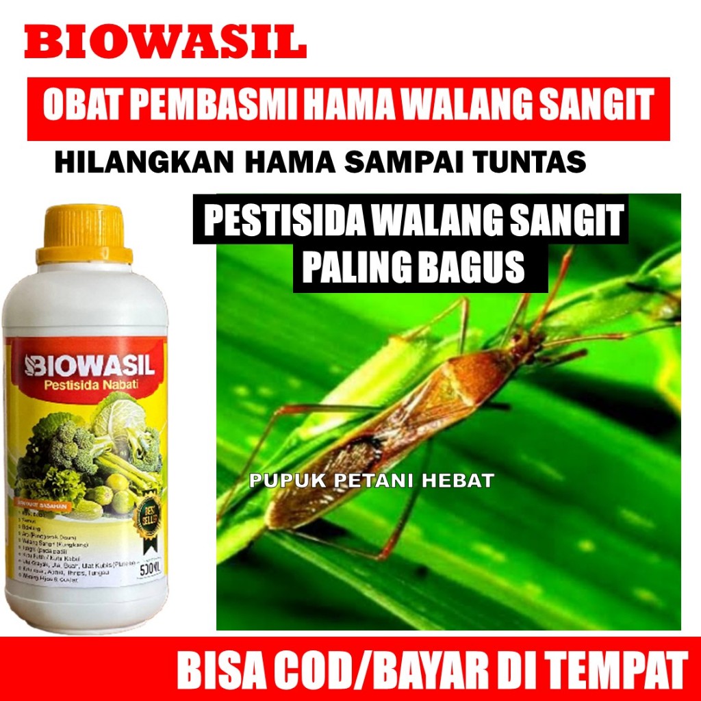 Jual (PROMO COD) BIOWASIL Pupuk Cair Mengatasi Serangan Hama WALANG ...