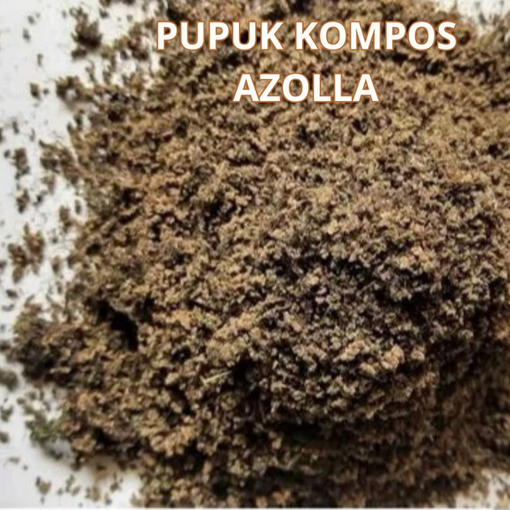 Jual Pupuk Kompos Azolla Mycrophylla Kering 500 Gram | Shopee Indonesia