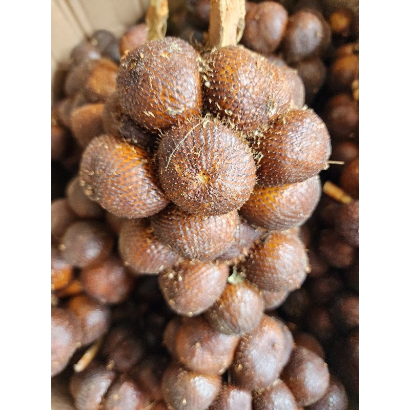 Jual Salak Gula Pasir 1kg | Shopee Indonesia