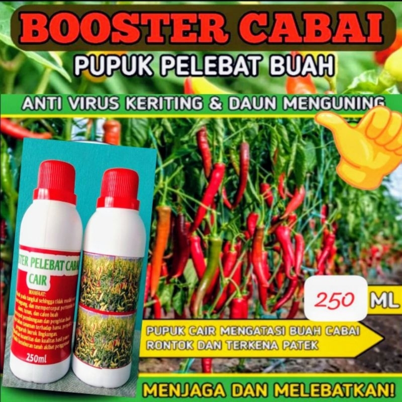 Jual PUPUK BOOSTER PELEBAT CABAI CAIR 250ML | Shopee Indonesia