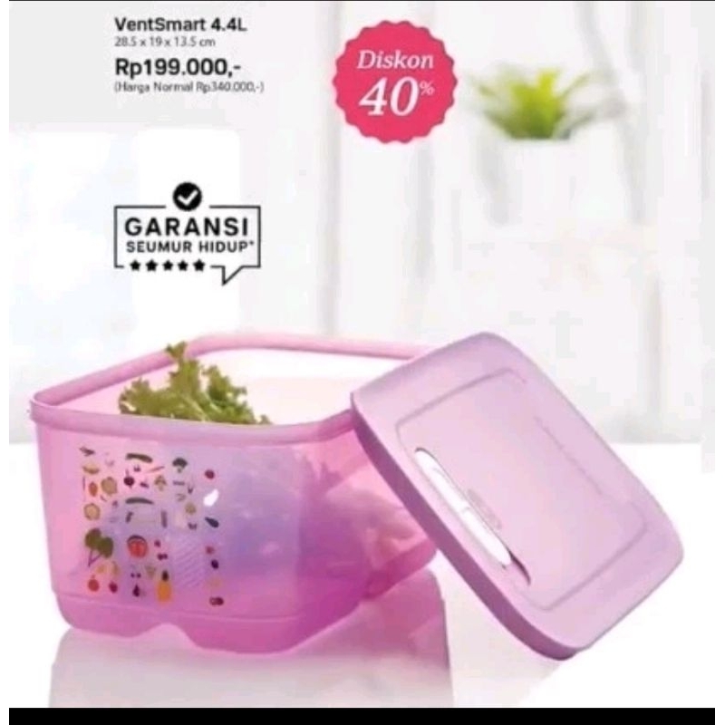 Jual TUPPERWARE VentSmart 4,4 Liter | Shopee Indonesia
